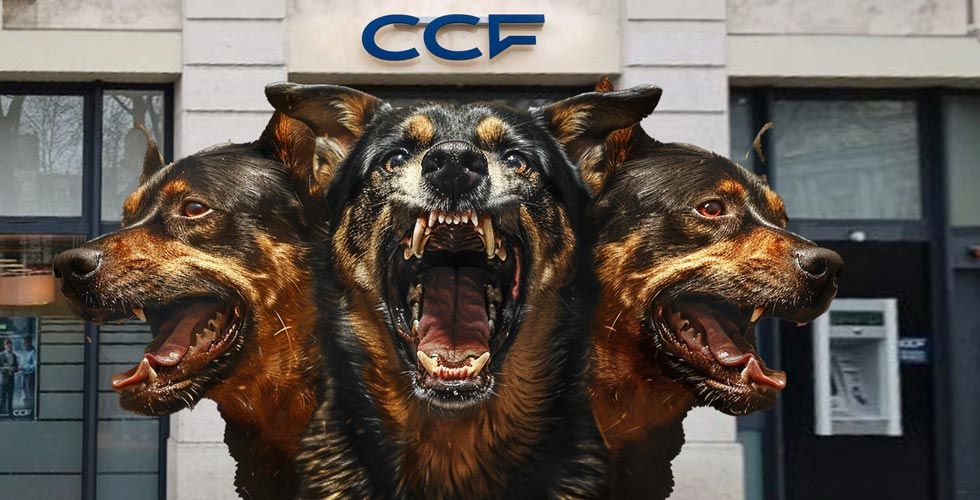 Les 800 000 nouveaux clients du CCF ont subi 385 irritants de l ...
